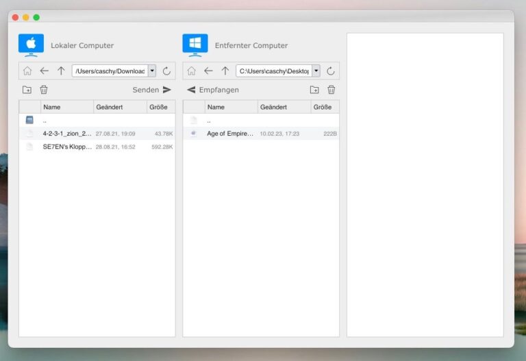 RustDesk: Kostenfreie Remote-Desktop-Lösung (Fernwartung)